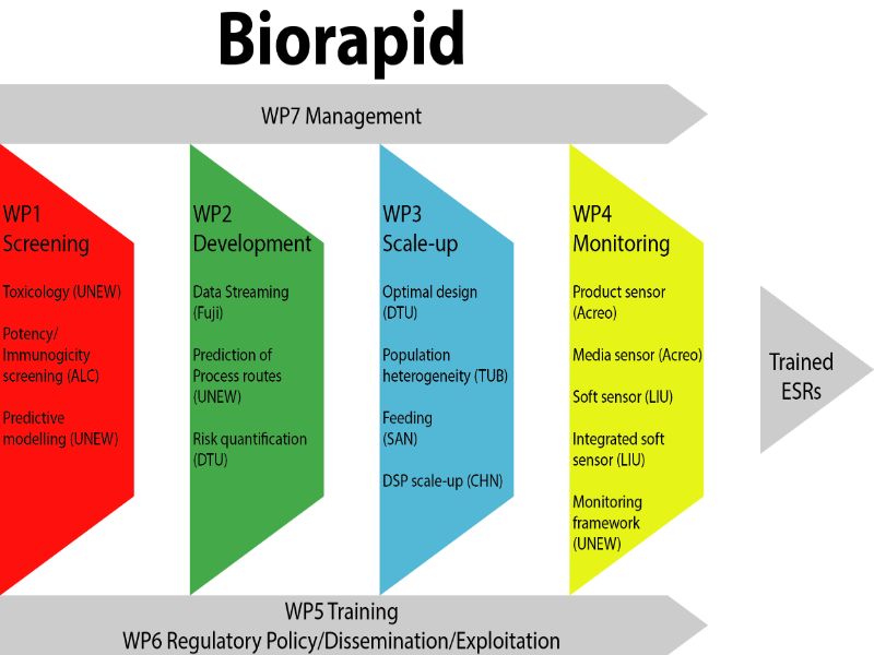 Projects; Biorapid; Newcastle University
