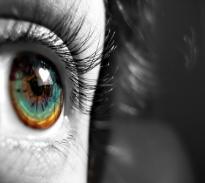 Tetrachromacy Project; Tetrachromacy Project; Newcastle University